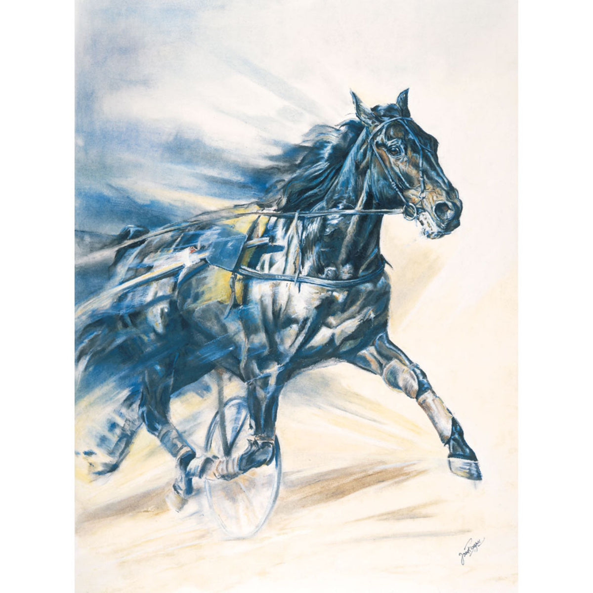 Standardbred – Exclusively Equine