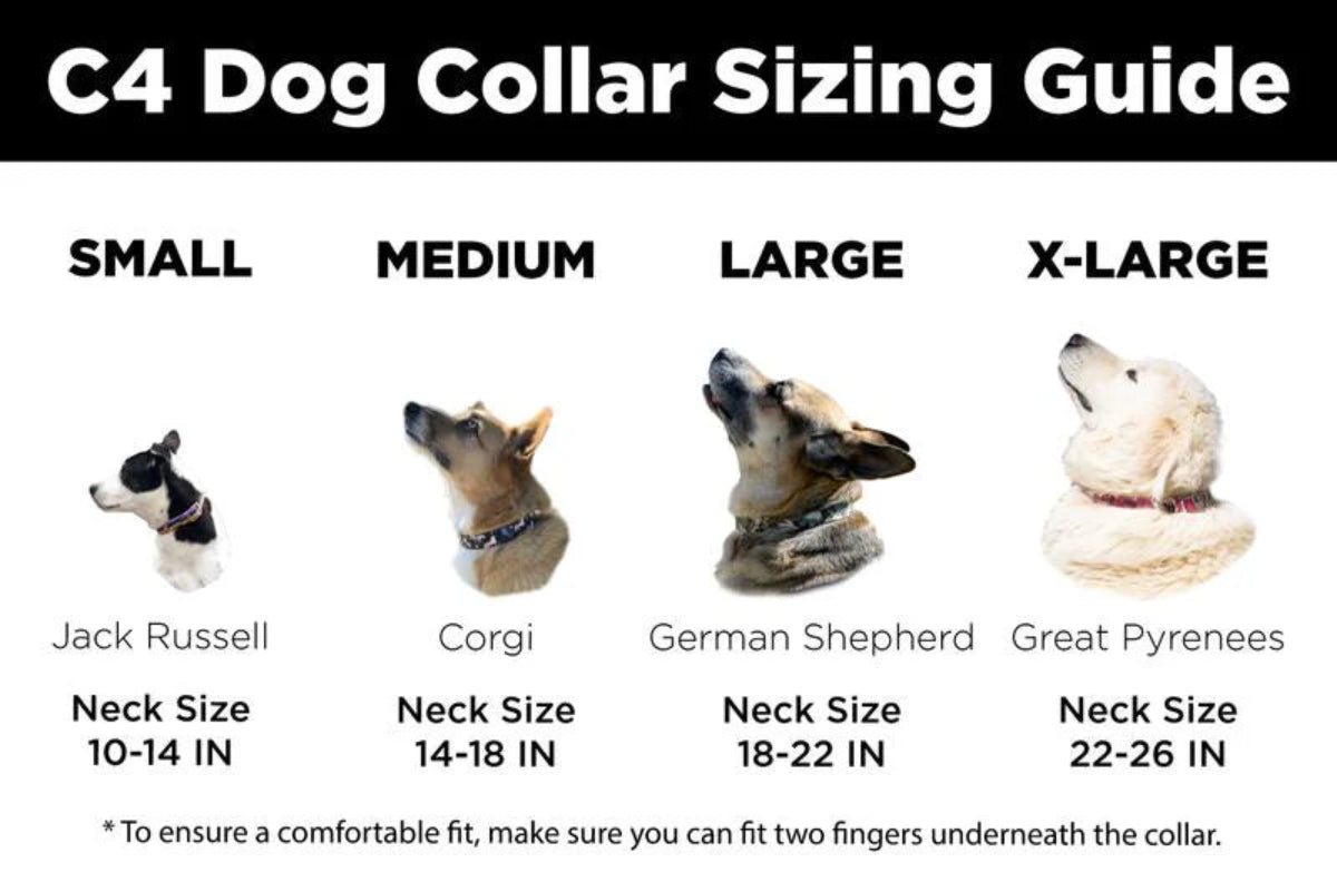C4 Dog Collar - Horse Heads – Exclusively Equine