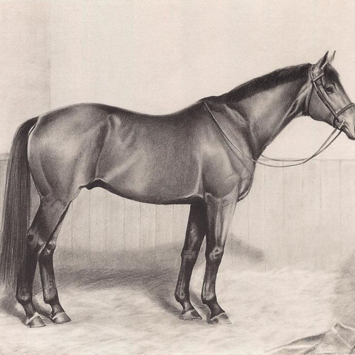 Innkeeper Card – Exclusively Equine