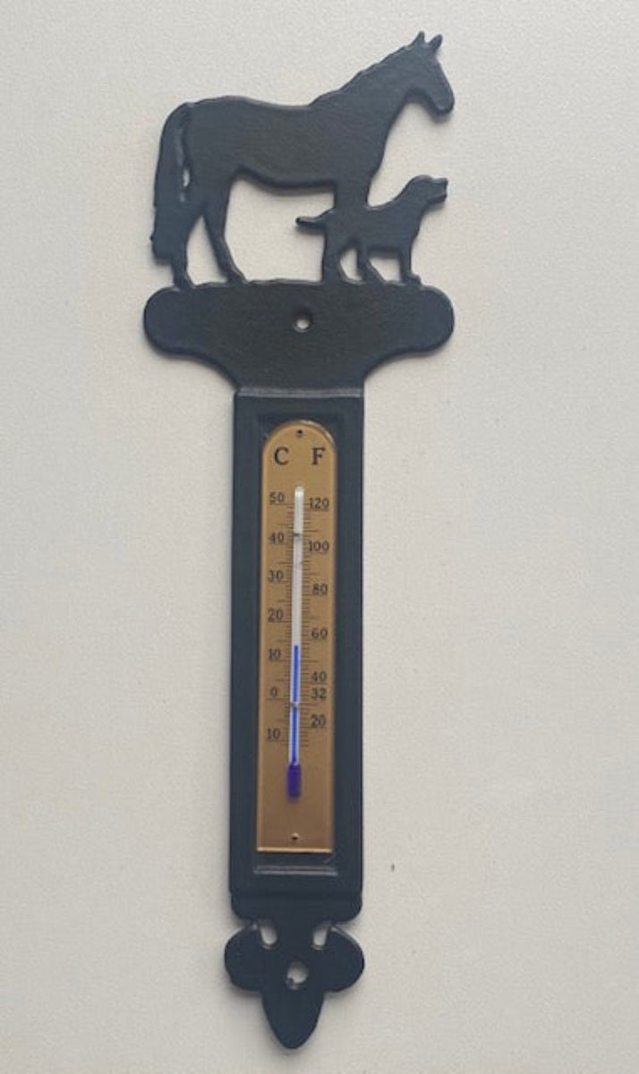 Dreams Thermometer – Exclusively Equine