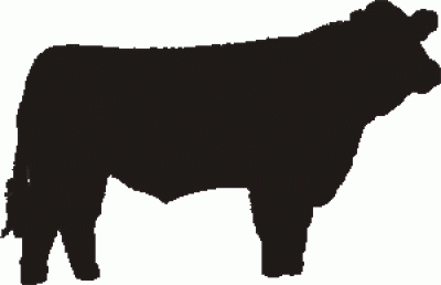 Simmental Letter Rack – Exclusively Equine